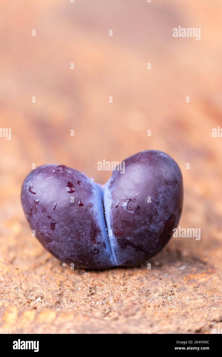 Heart plums hi-res stock photography and images - Alamy