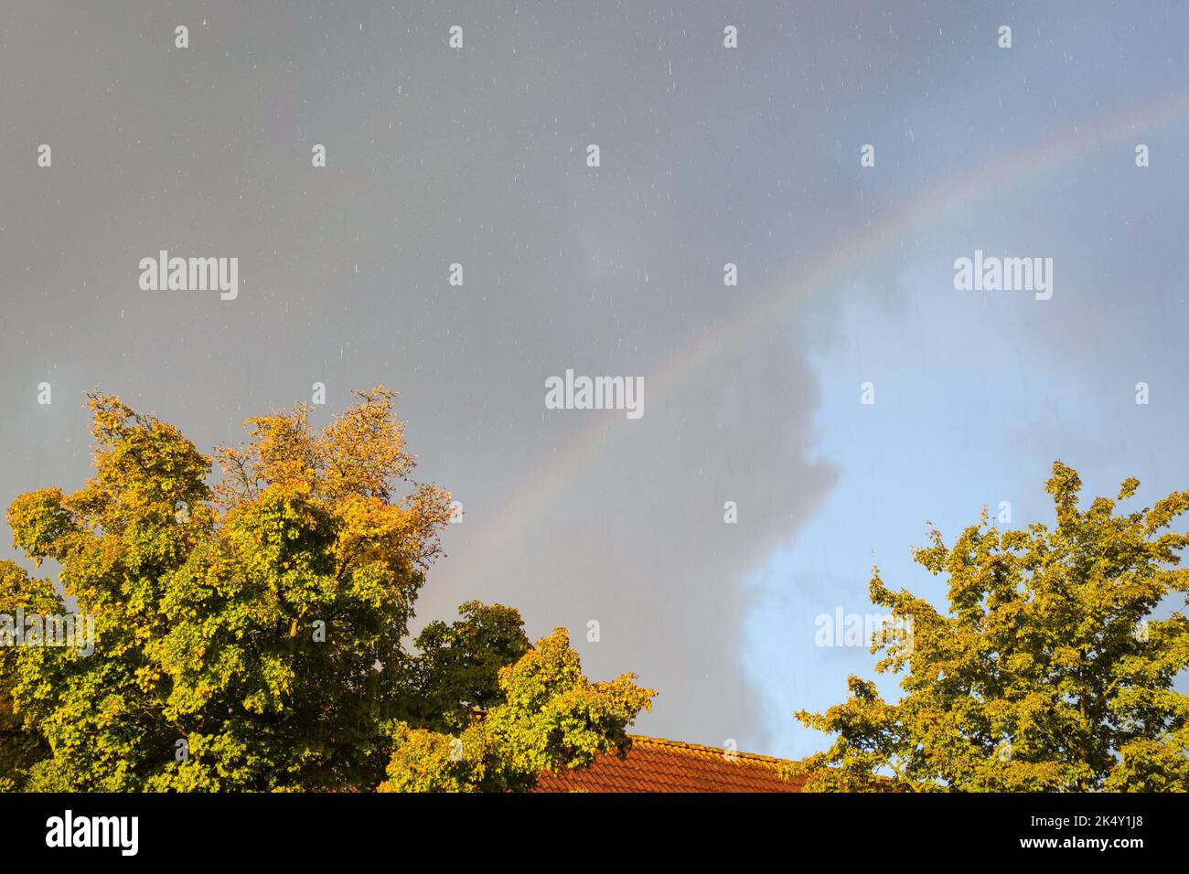 Colorful rainbow above trees with autumn leaf colors Stock Photo - Alamy