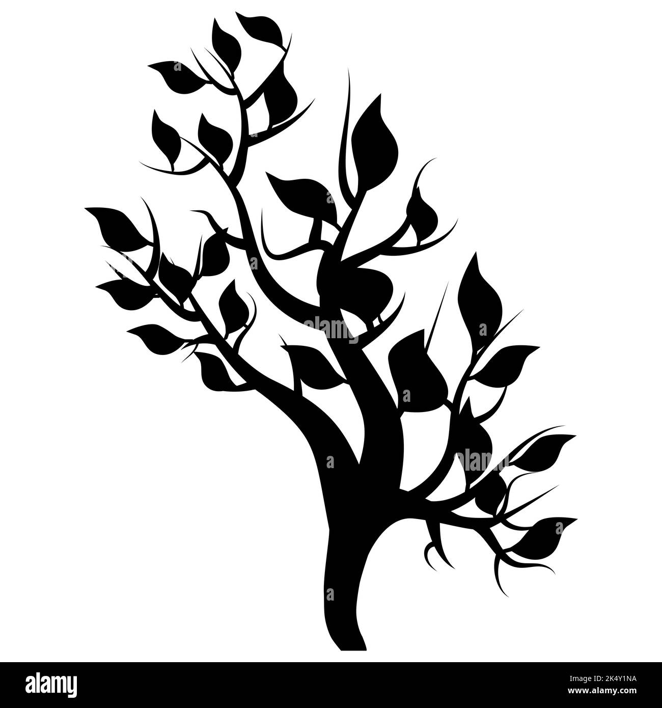 Tree Sapling Drawing