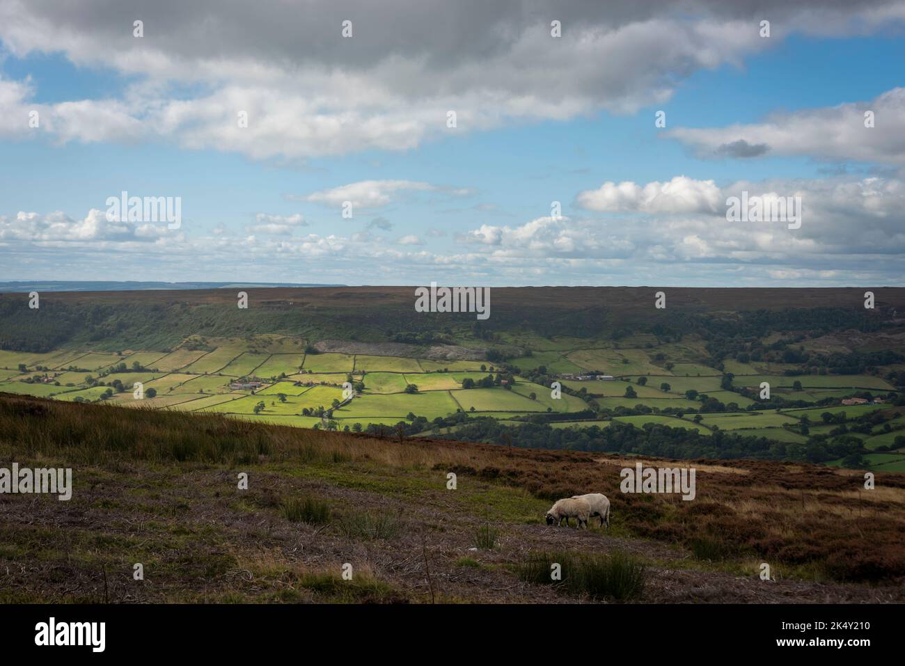 The North York Moors near Castleton, North Yorkshire, UK Stock Photo ...