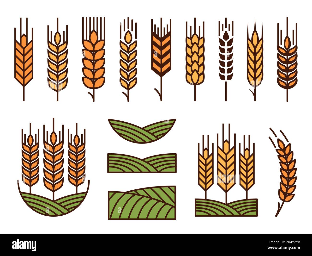 Cereal ear spike icons of wheat barley, rye millet and rice, vector ...