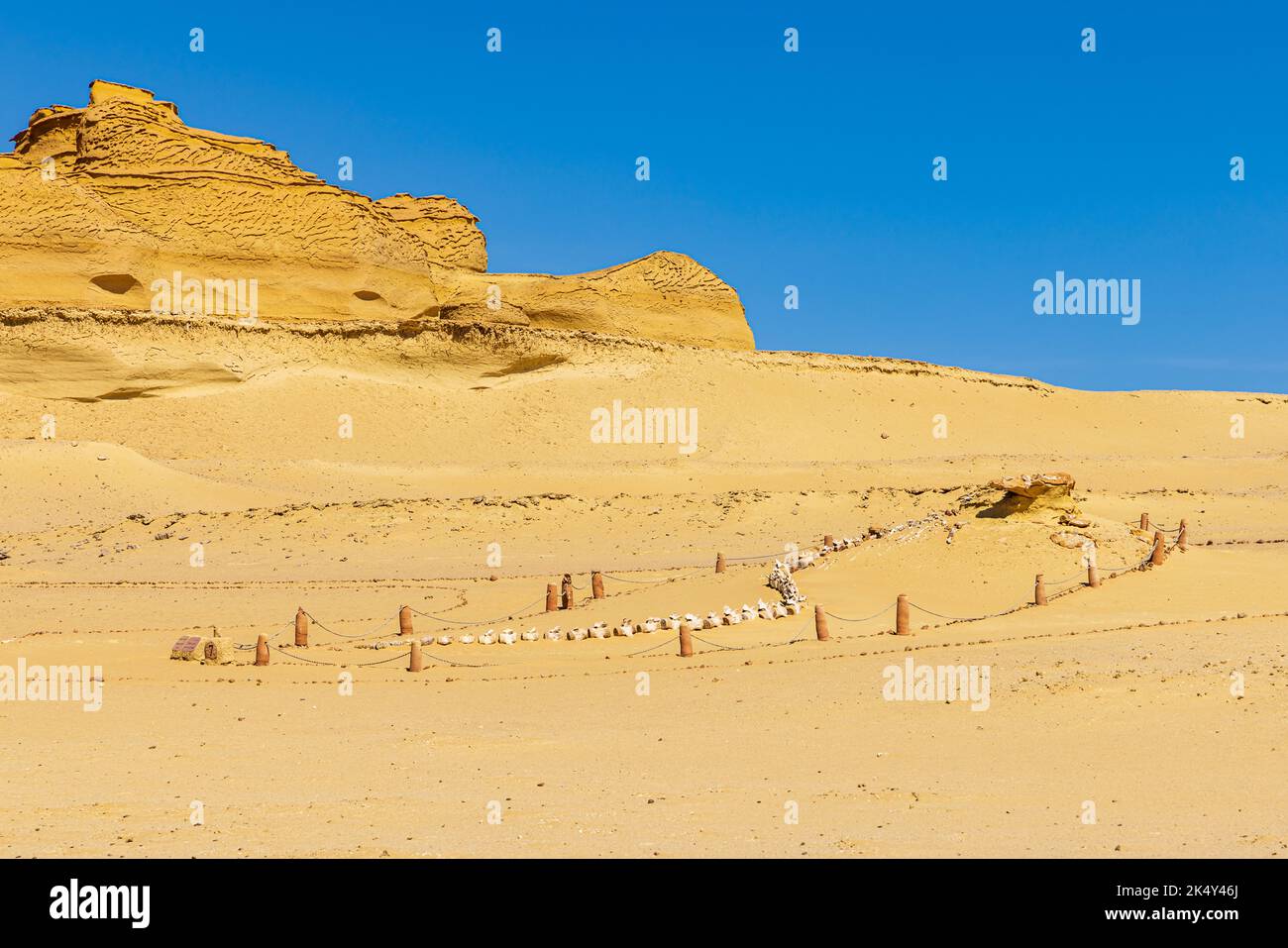 Wadi al Hitan, Faiyum, Egypt. Whale fossil on the interpretive trail at ...
