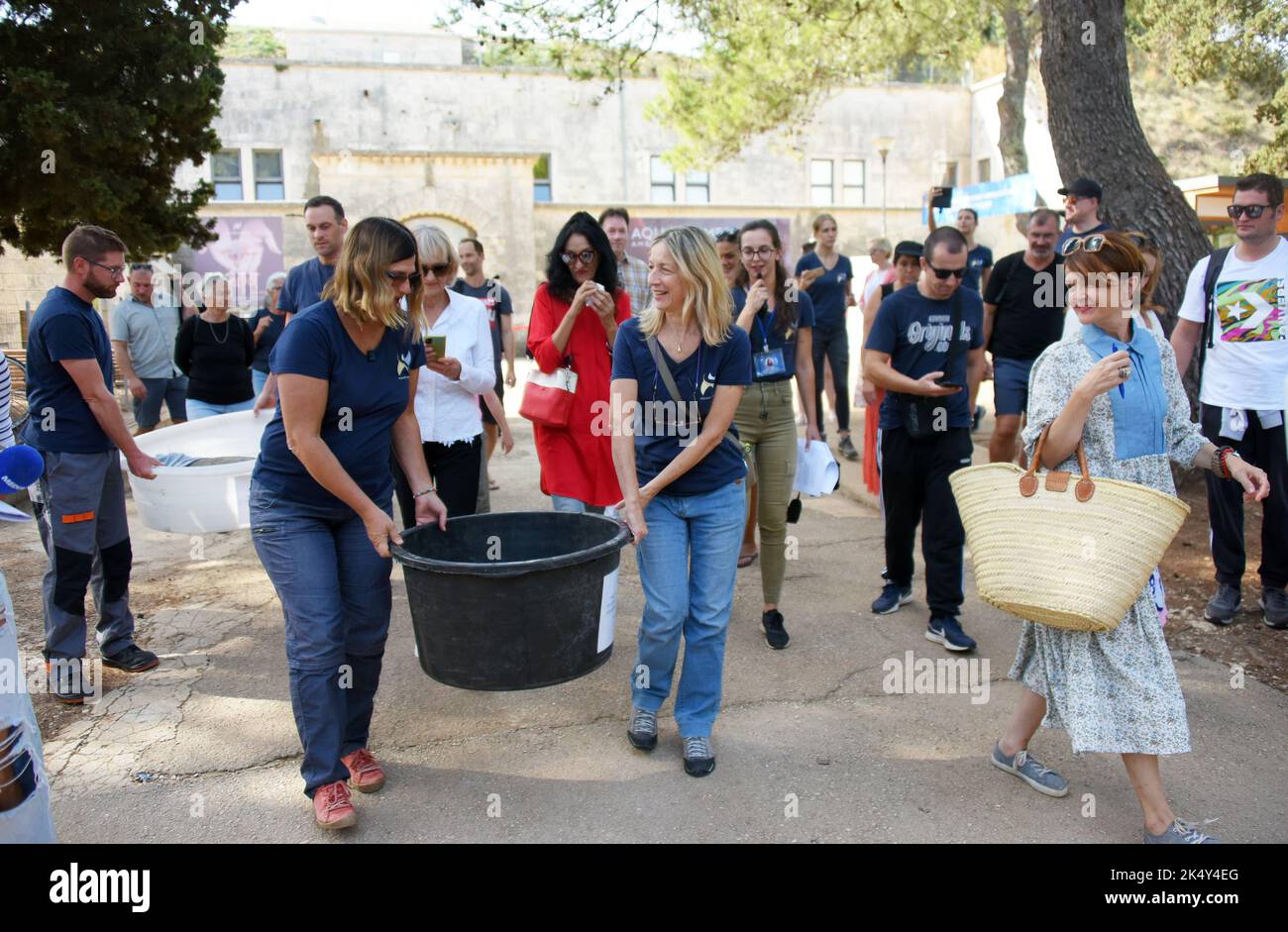 Two loggerhead turtles, Ivan and Dancea, were returned to the sea after ...