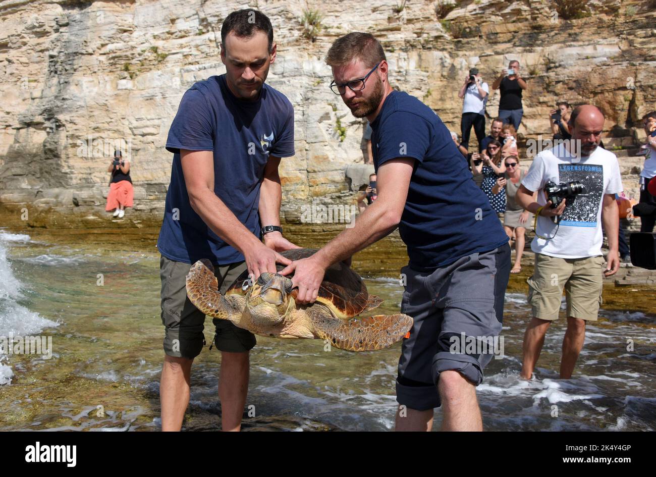 Two loggerhead turtles, Ivan and Dancea, were returned to the sea after ...