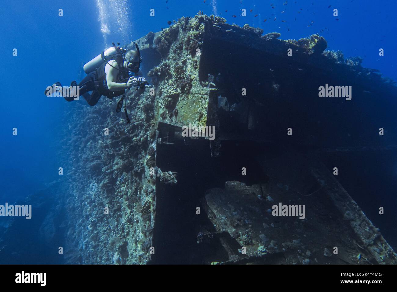 Scuba diver exploring the interior of a shipwreck Chrisoula K on ...