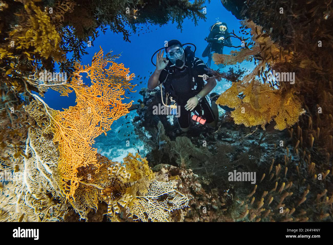Scuba diver exploring the Gota Abu Ramada reef on September 30, 2022 in ...