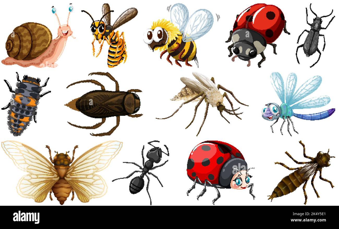 Different kinds of insects collection illustration Stock Vector Image ...
