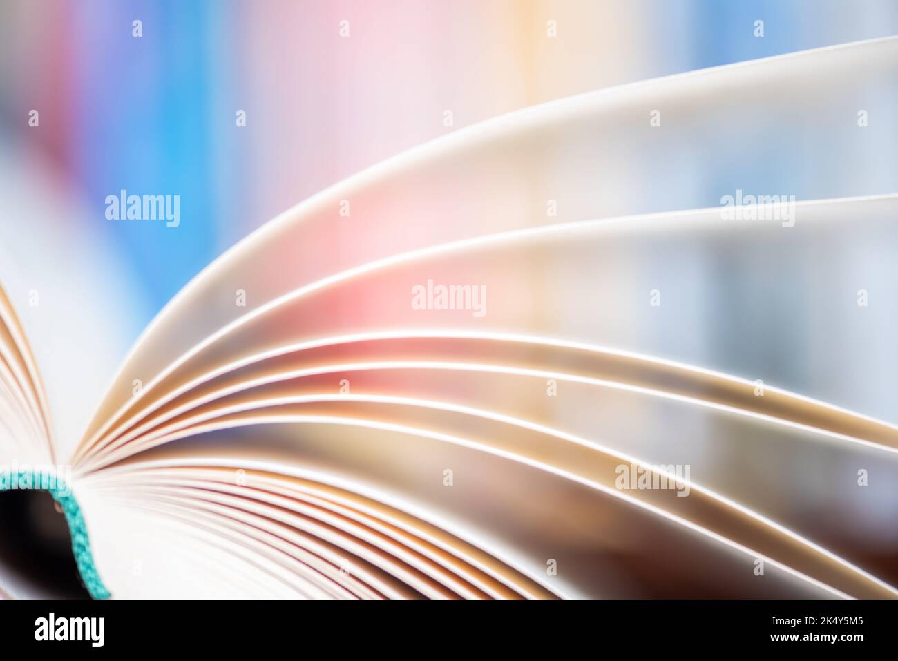 Close-up of opened book pages with soft blurred background Stock Photo ...