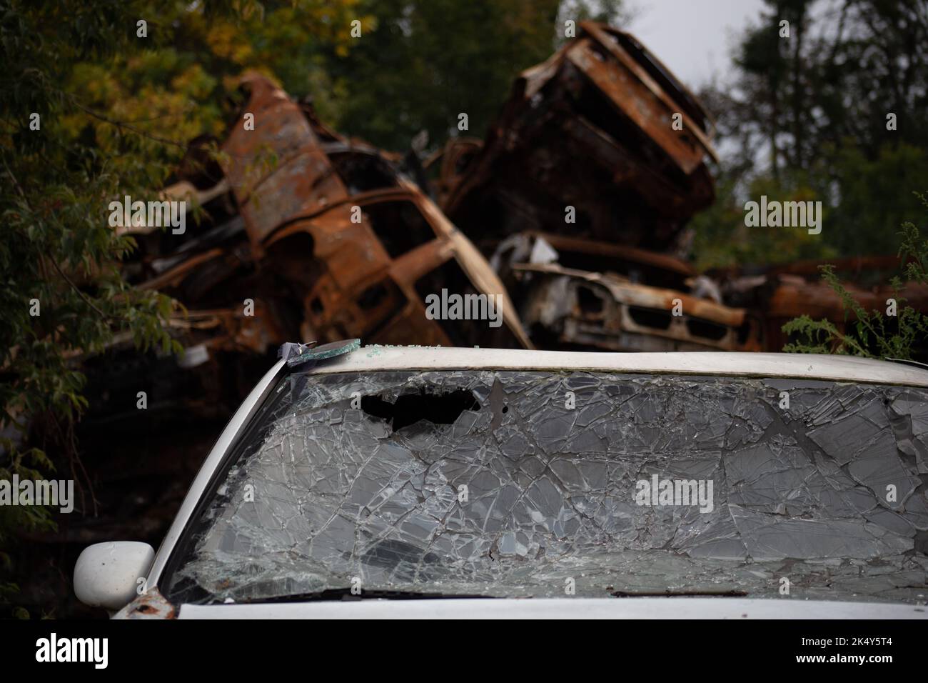A bunch of wrecked and burned civilian cars in the city of Gostomel ...