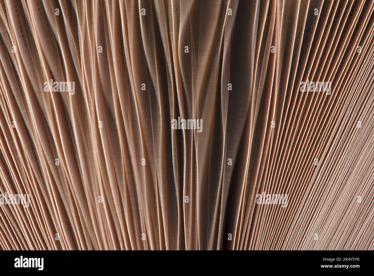 Modern book pages hi-res stock photography and images - Alamy