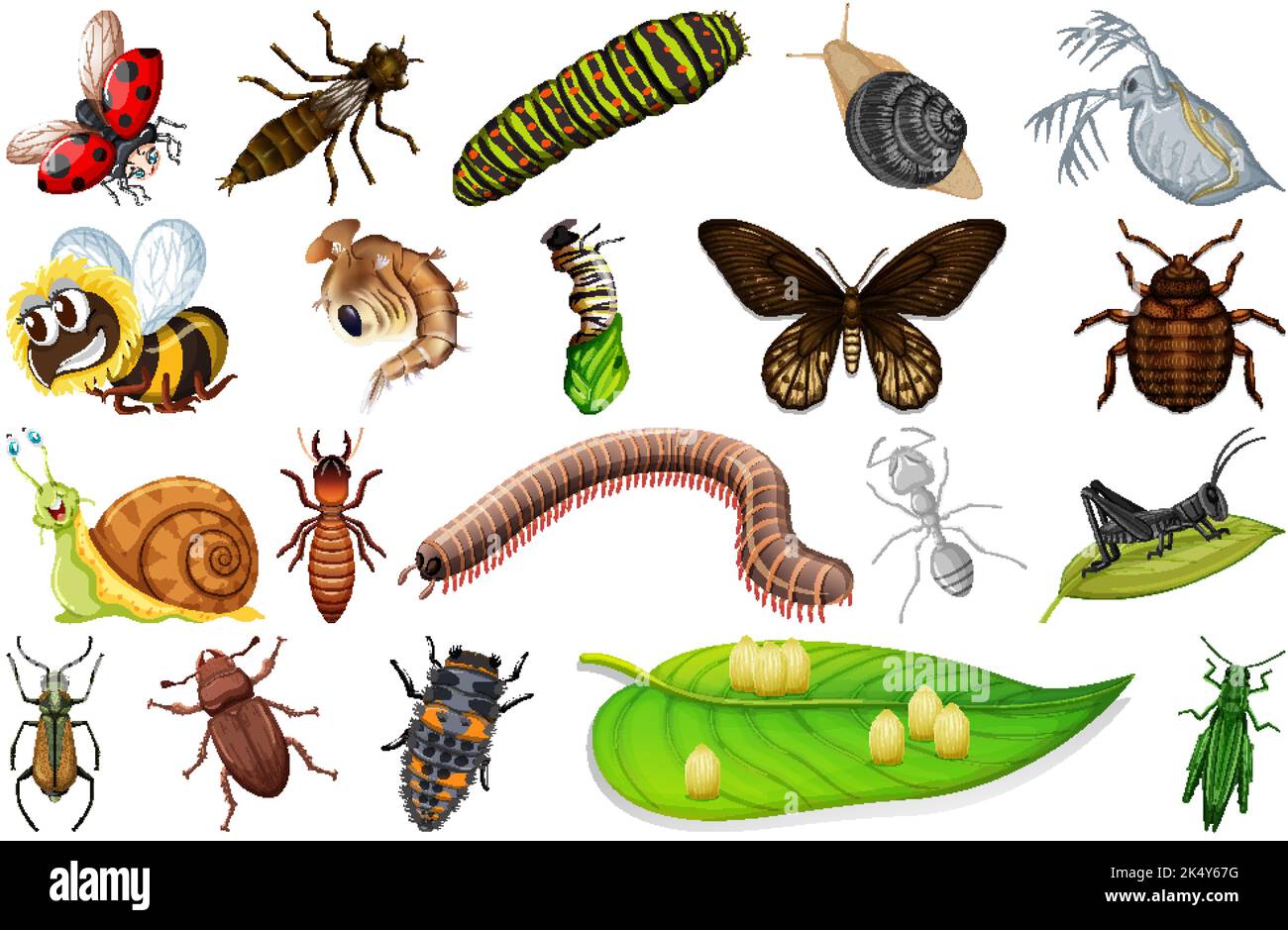 Different kinds of insects collection illustration Stock Vector Image ...