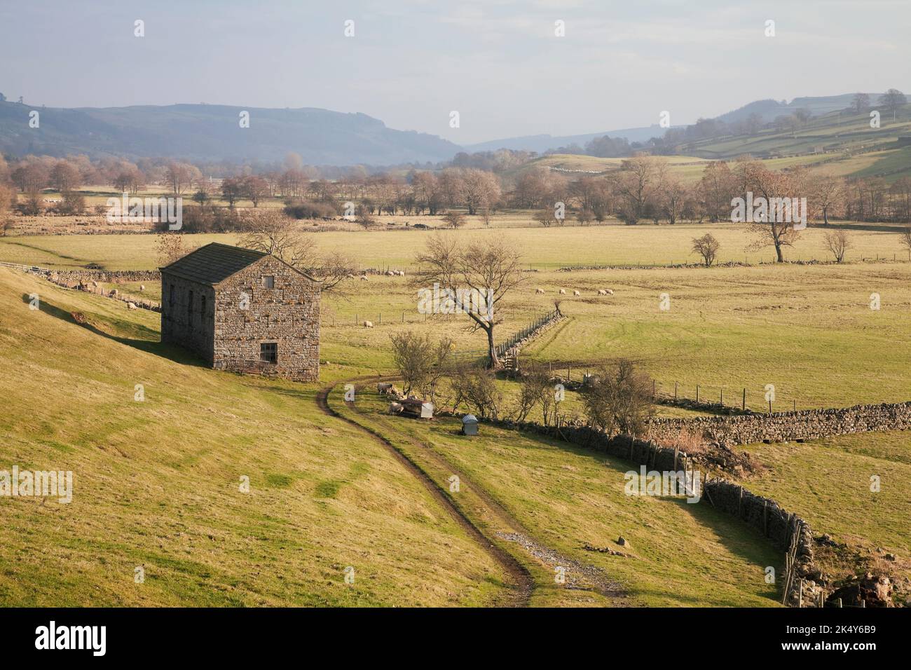 Swaledale walls and barns in the Yorkshire Dales, UK Stock Photo - Alamy