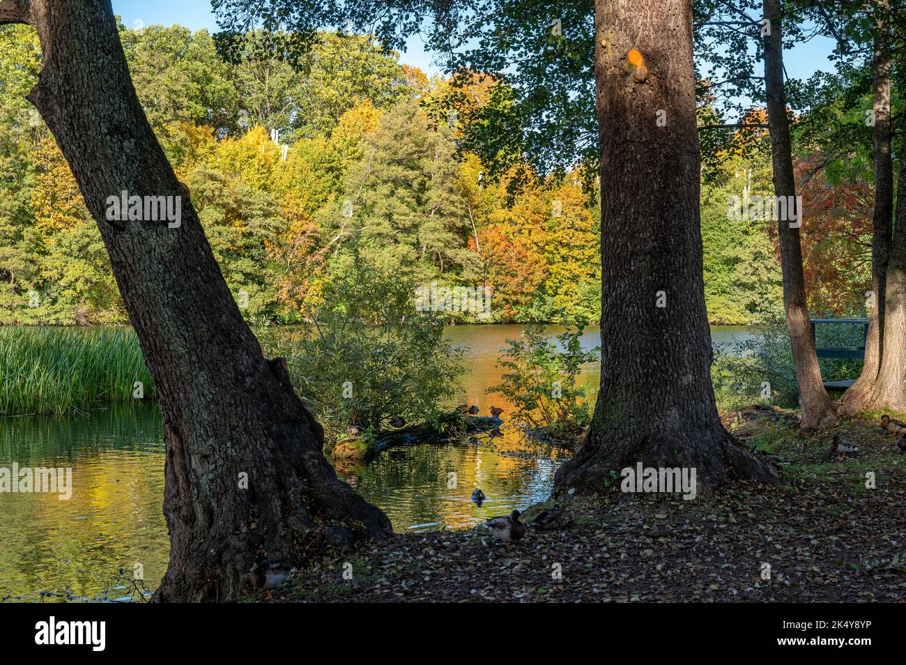Waterfront park Åbackarna and Motala river during autumn in Norrköping ...