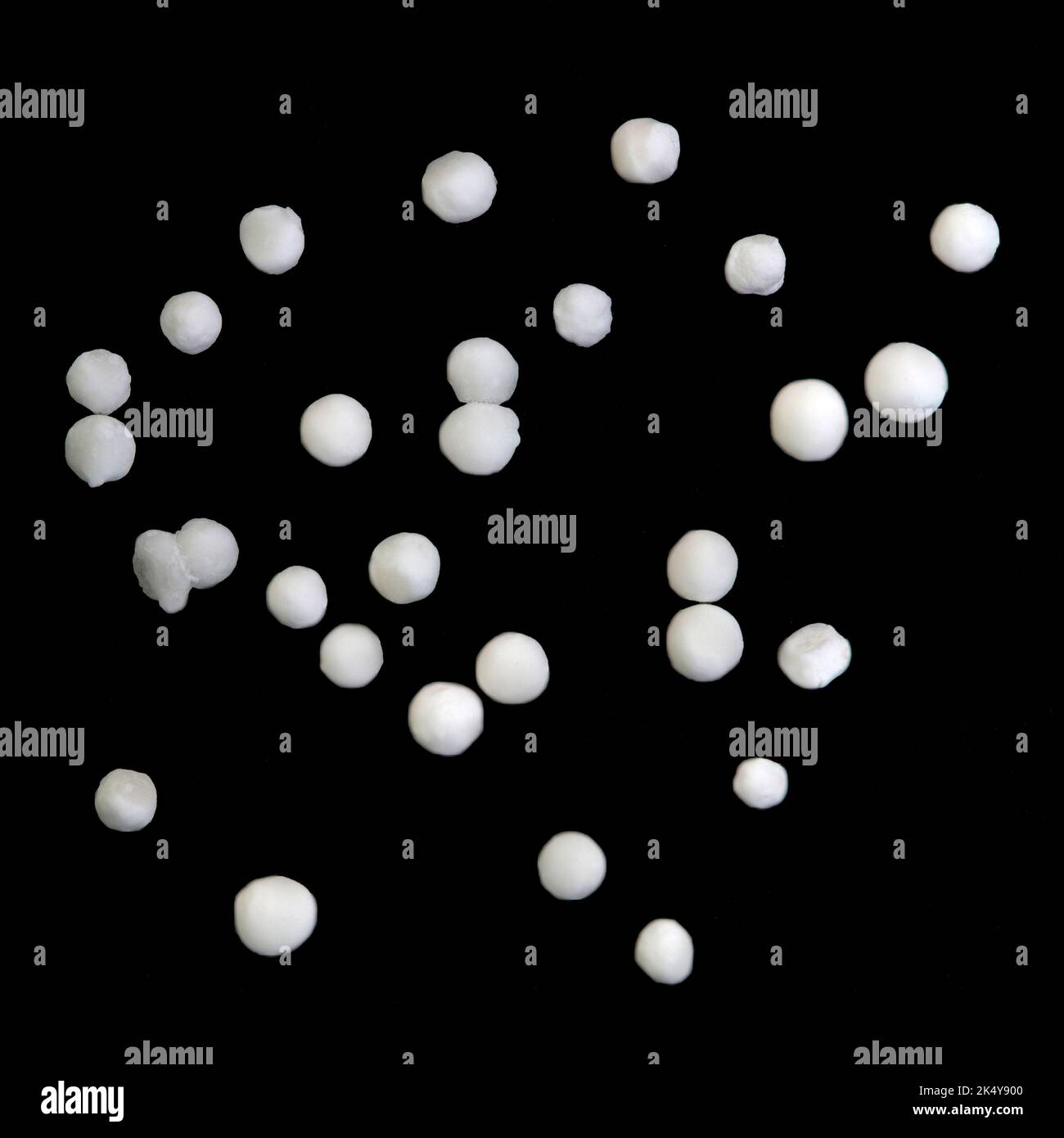 Tapioca Pearls on Black Background Stock Photo - Alamy