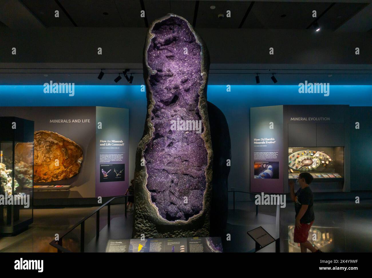 American Museum of natural history in Manhattan NYC Stock Photo - Alamy