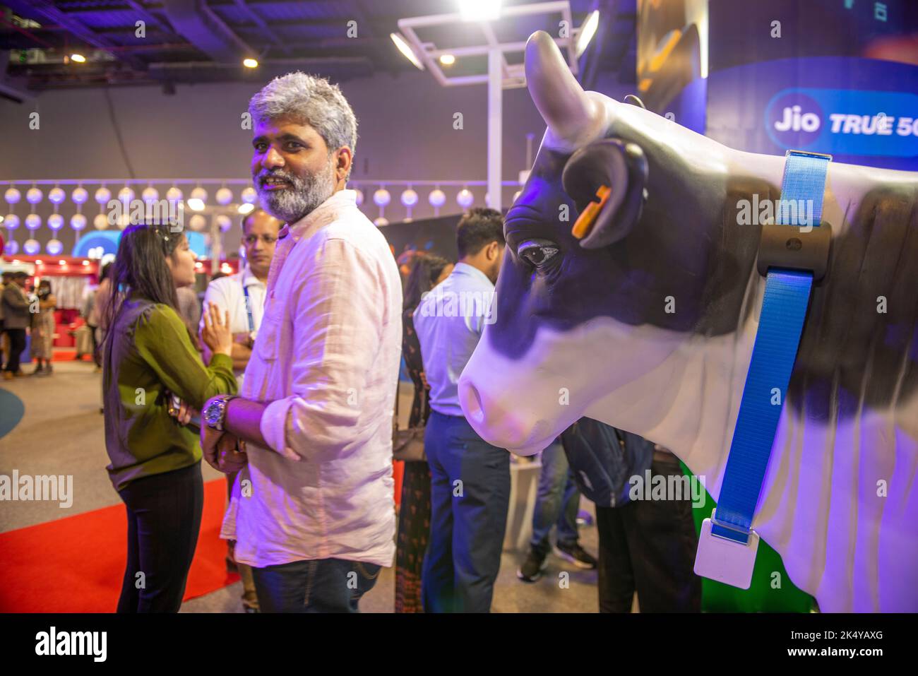 World largest cow hi-res stock photography and images - Alamy