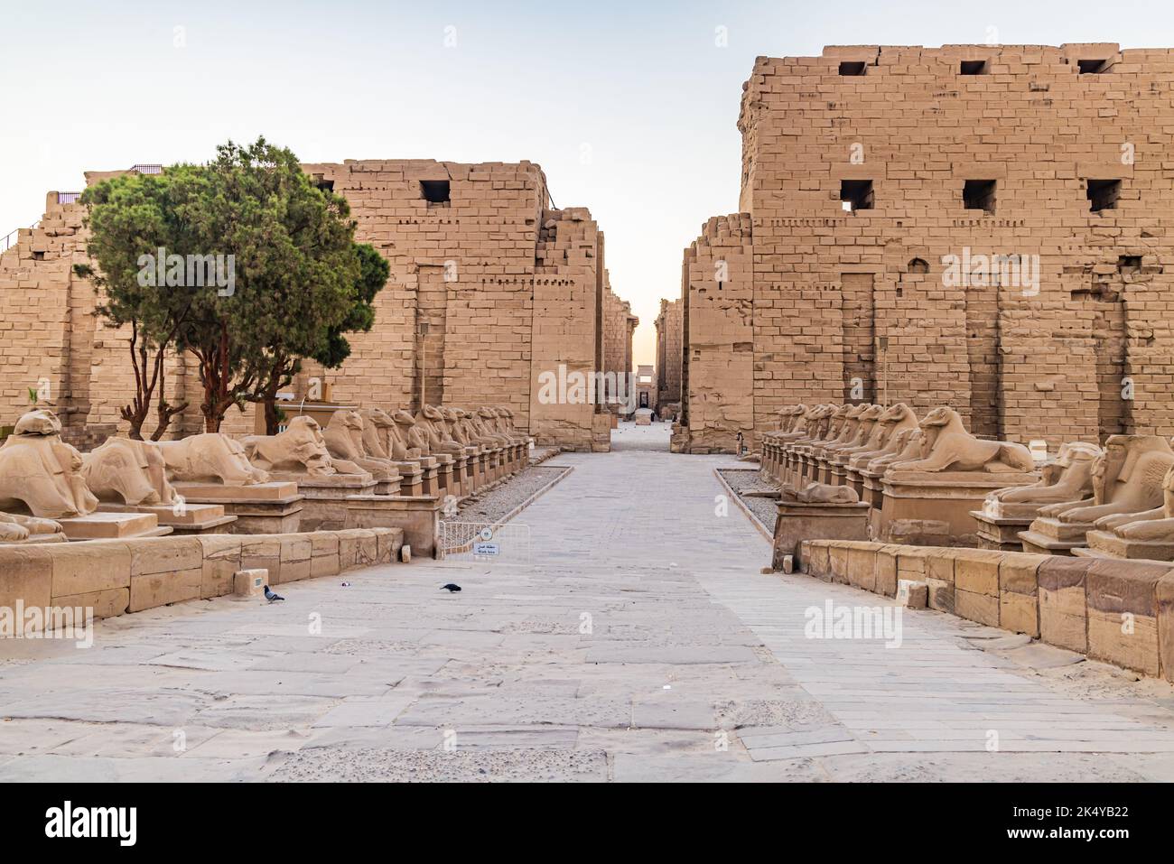 Karnak, Luxor, Egypt. Avenue of the Rams Headed Sphinxes at the Karnak ...