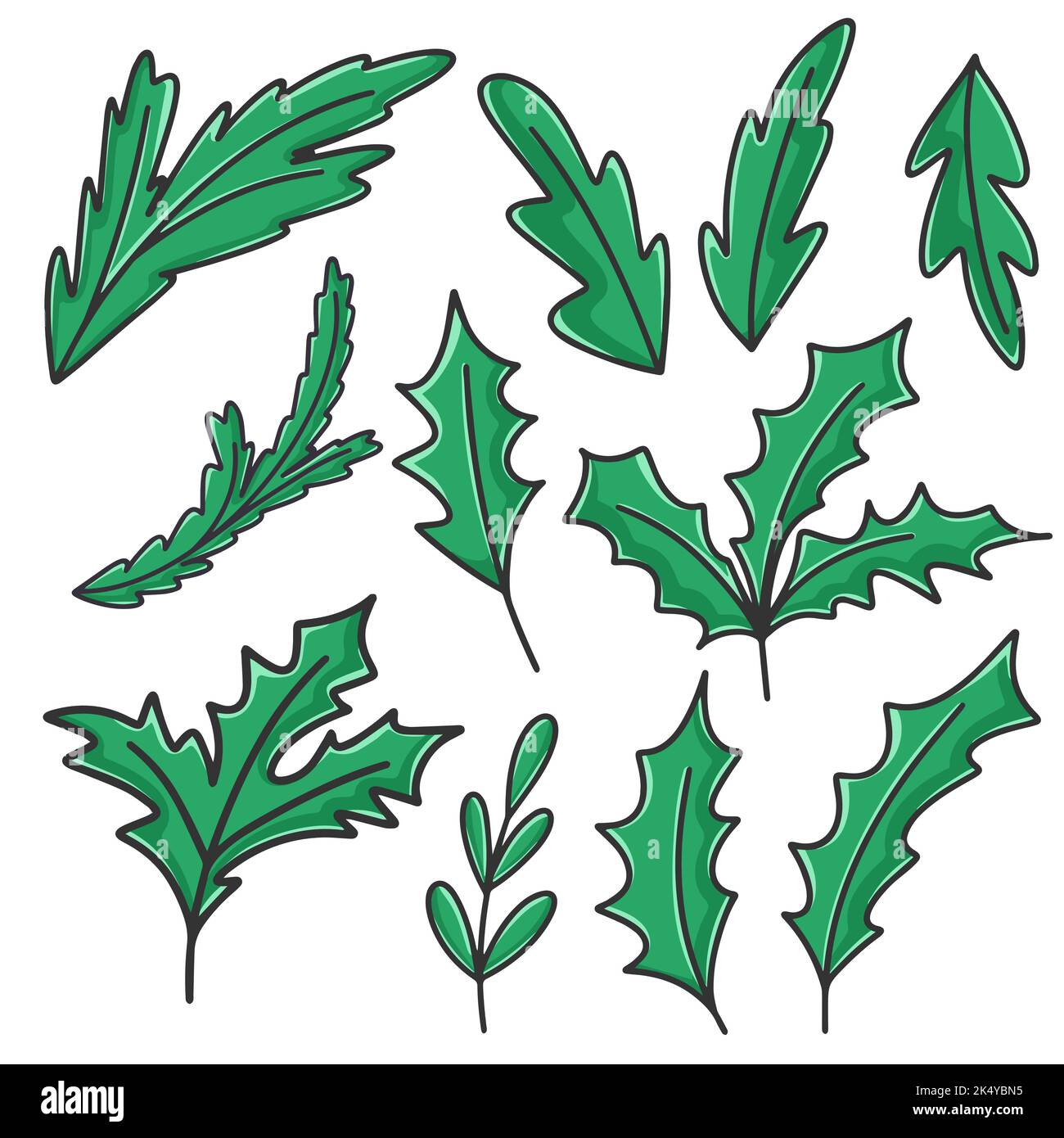 Conifer clipart Stock Vector Images - Alamy