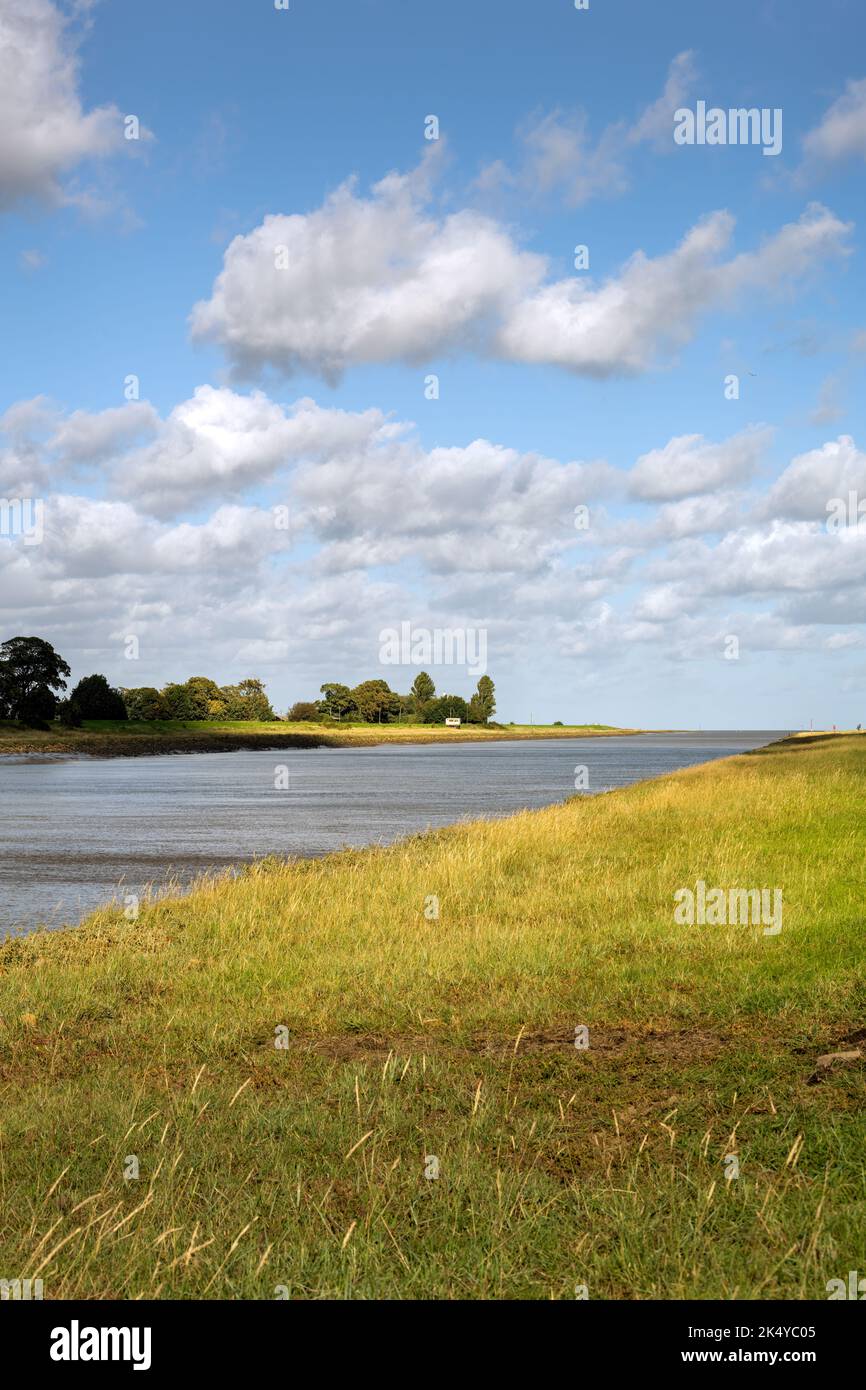 Trees along the river Nene on an autumn afternoon, Lincolnshire, East ...