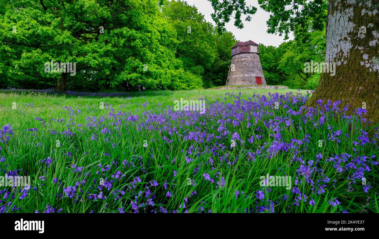 Vintage wiltshire uk map hi-res stock photography and images - Alamy