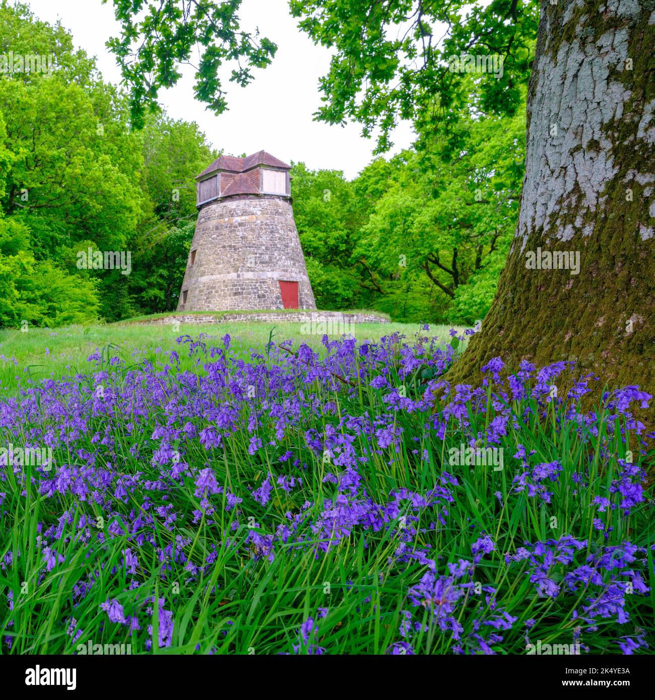 East Knoyle, UK - May 9, 2022: Spring bluebells and East Knoyle ...