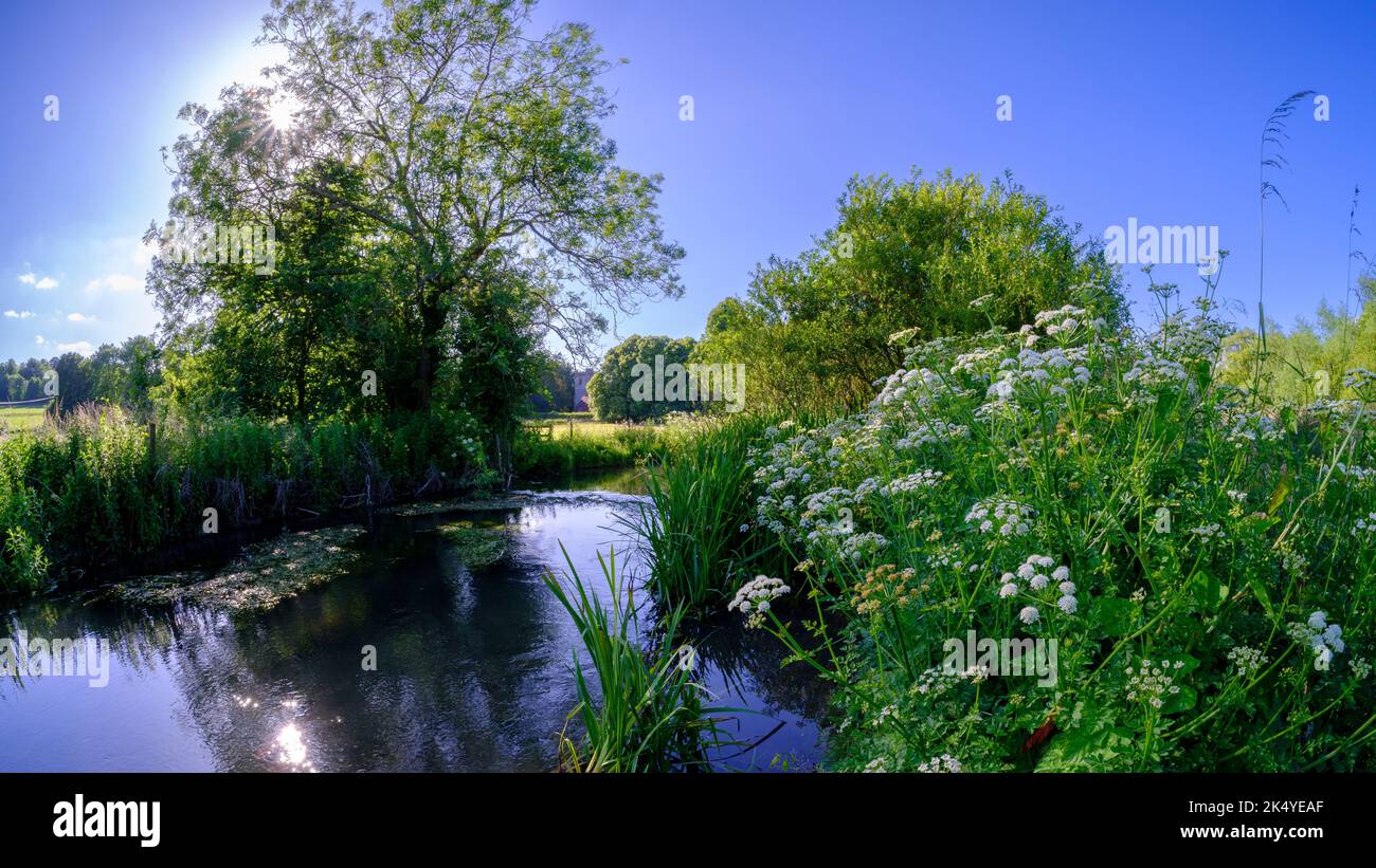 Droxford, UK - June 12, 2022: Bright summer's day on the river Meon at ...