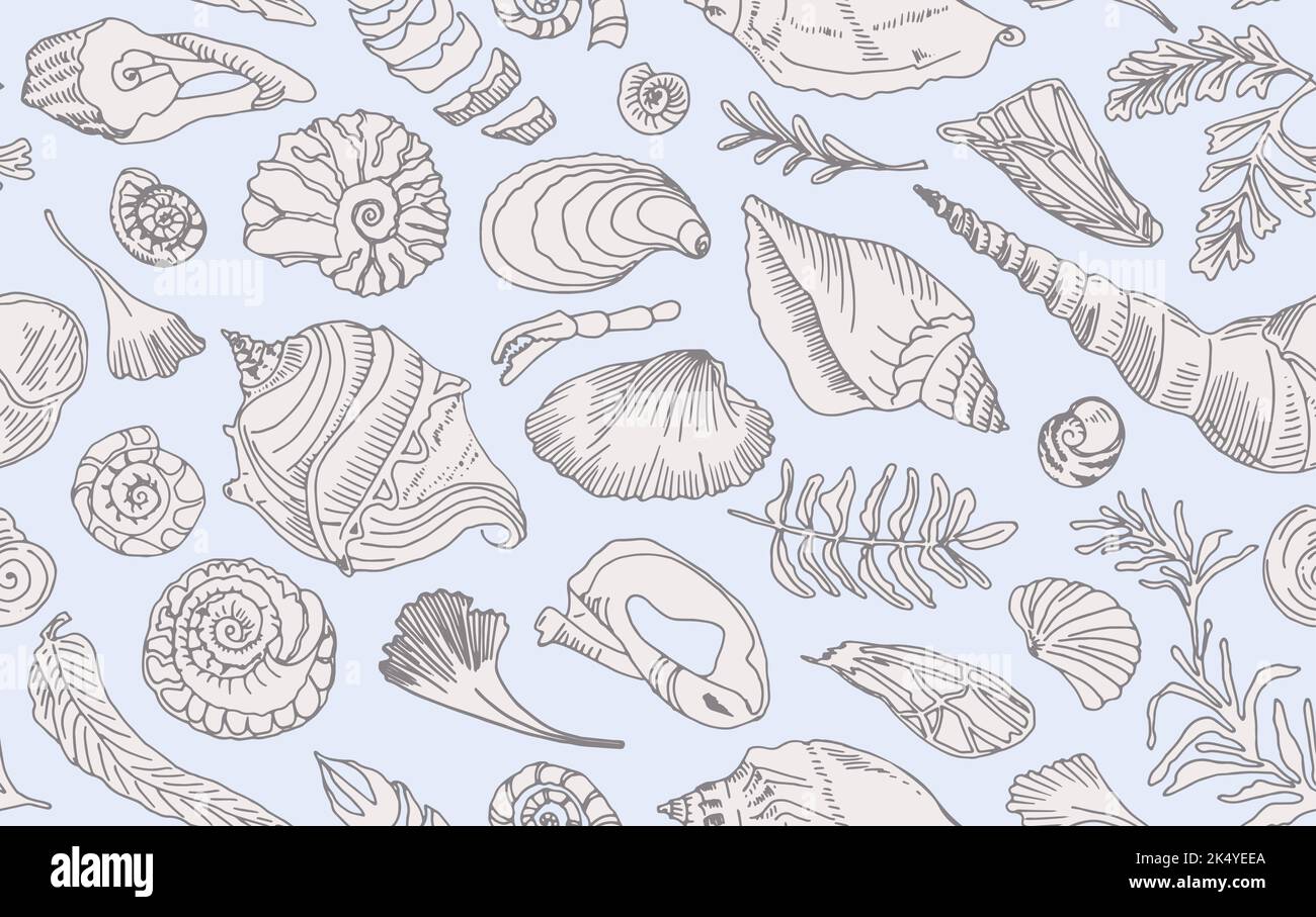 Isolated line art contour seashells and plants Seamless pattern Hand ...