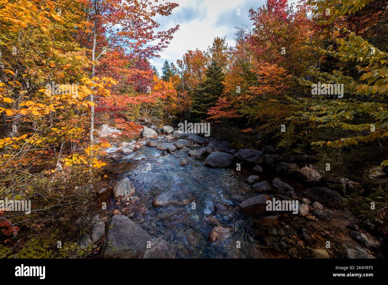 Roaring Brook in Baxter State Park, Maine, with stunning early Fall ...