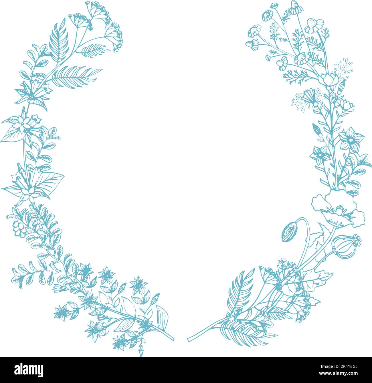 Herbal round frame. Botanical border. Decorative nature Stock Vector ...