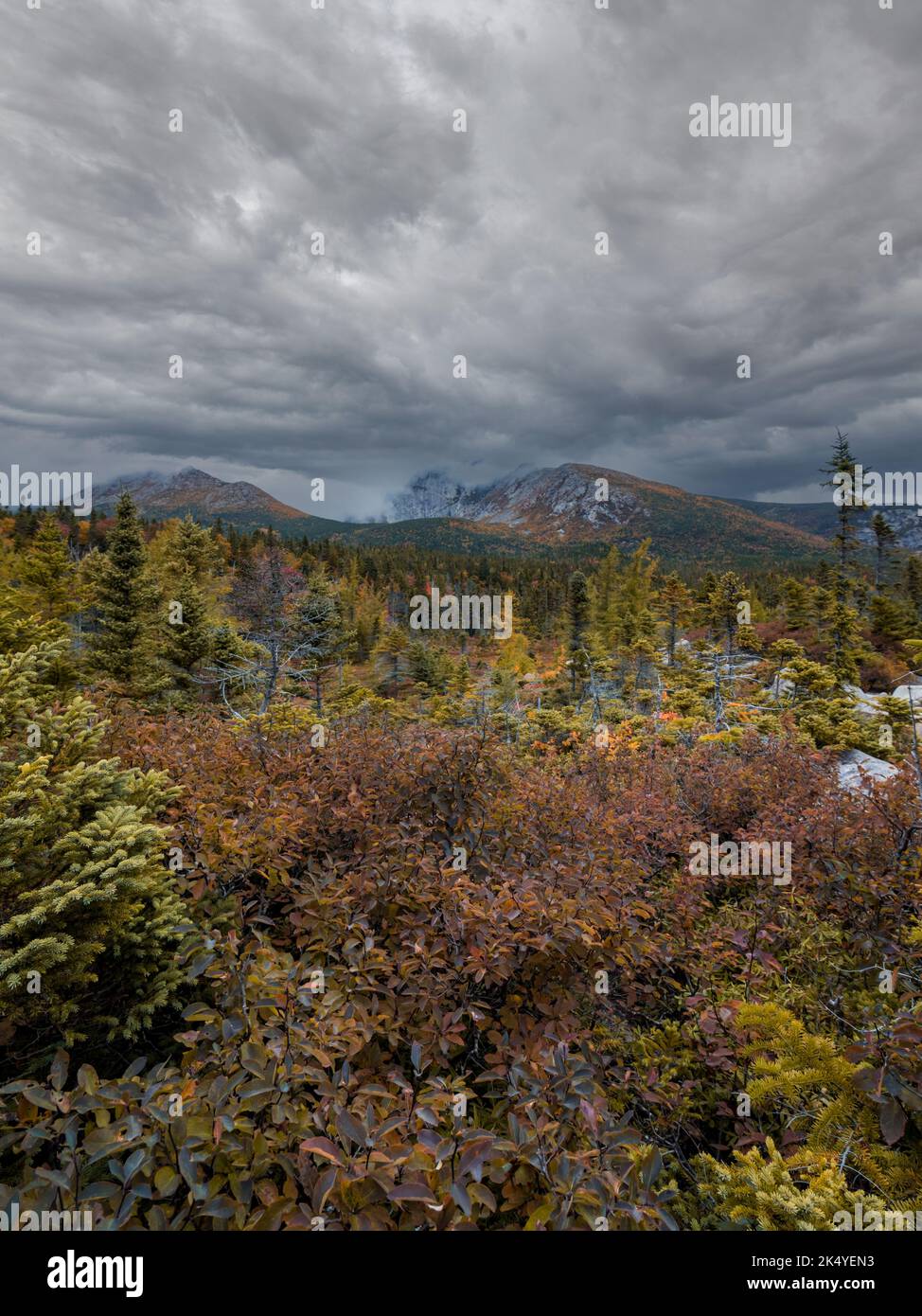 View of Baxter Peak from Chimney Pond Trail overlook in Maine with ...