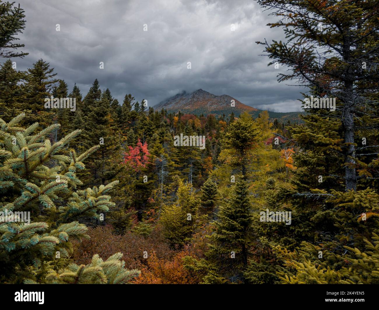 View of Baxter Peak from Chimney Pond Trail overlook in Maine with ...