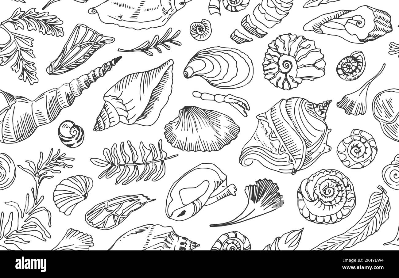Isolated black line contour seashells and plants Seamless pattern Hand ...