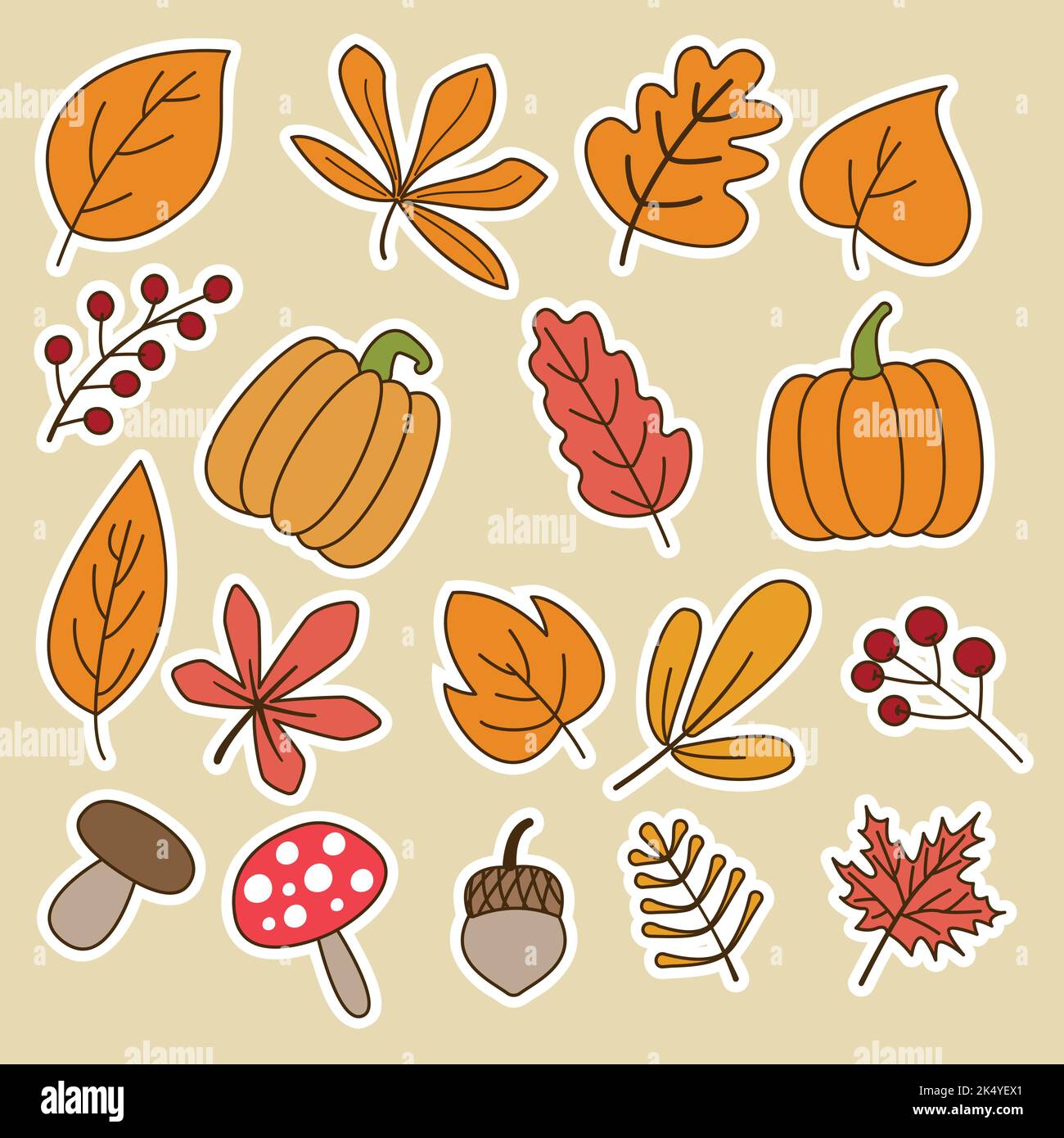 Big set season autumn objects for modern design Stock Vector Image ...