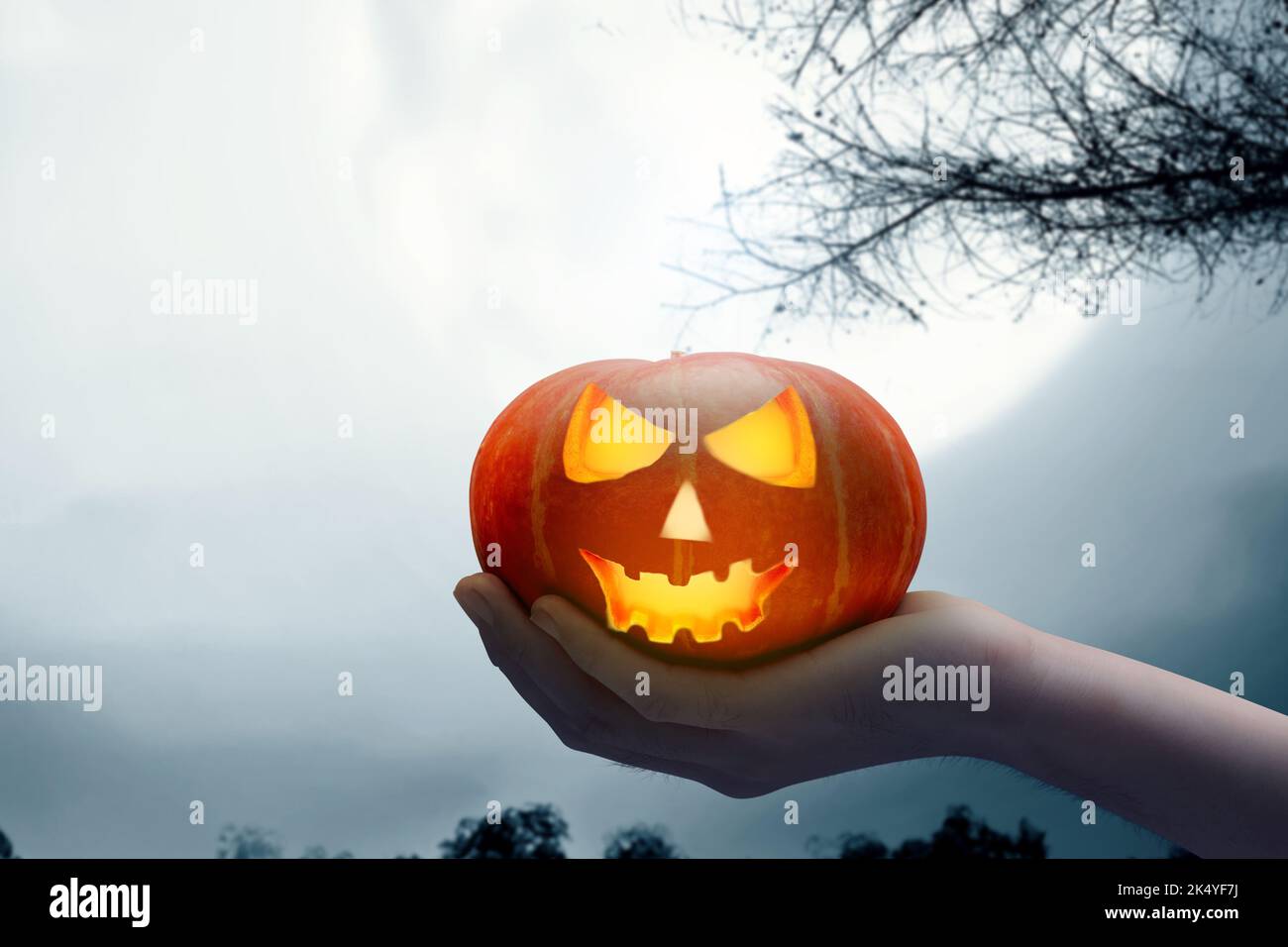 Human hand holding Jack-o-Lantern with a night scene background Stock ...