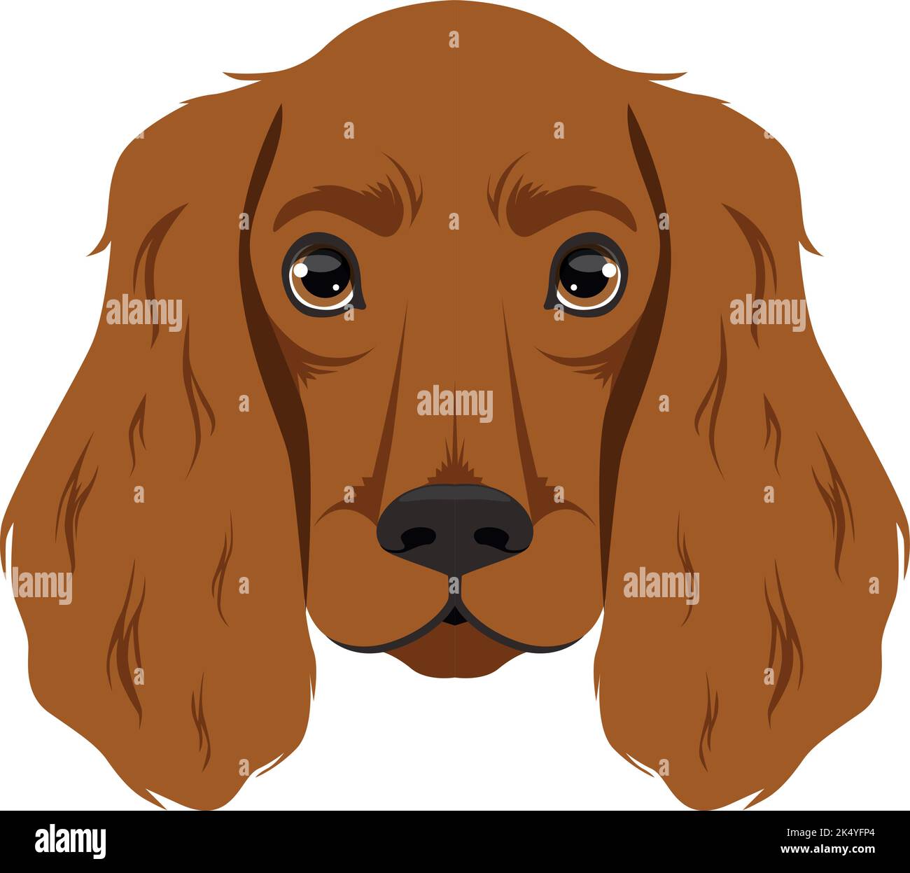 Setter head icon. Fluffy dog cartoon face Stock Vector Image & Art - Alamy