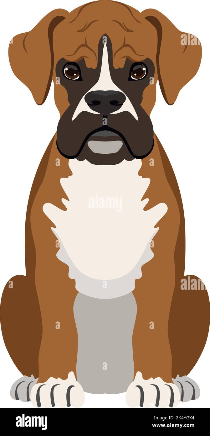 Angry mastiff hi-res stock photography and images - Alamy