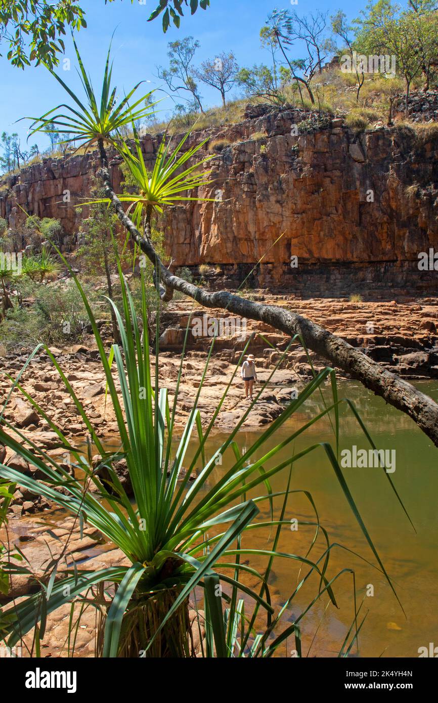 Lily ponds hi-res stock photography and images - Alamy
