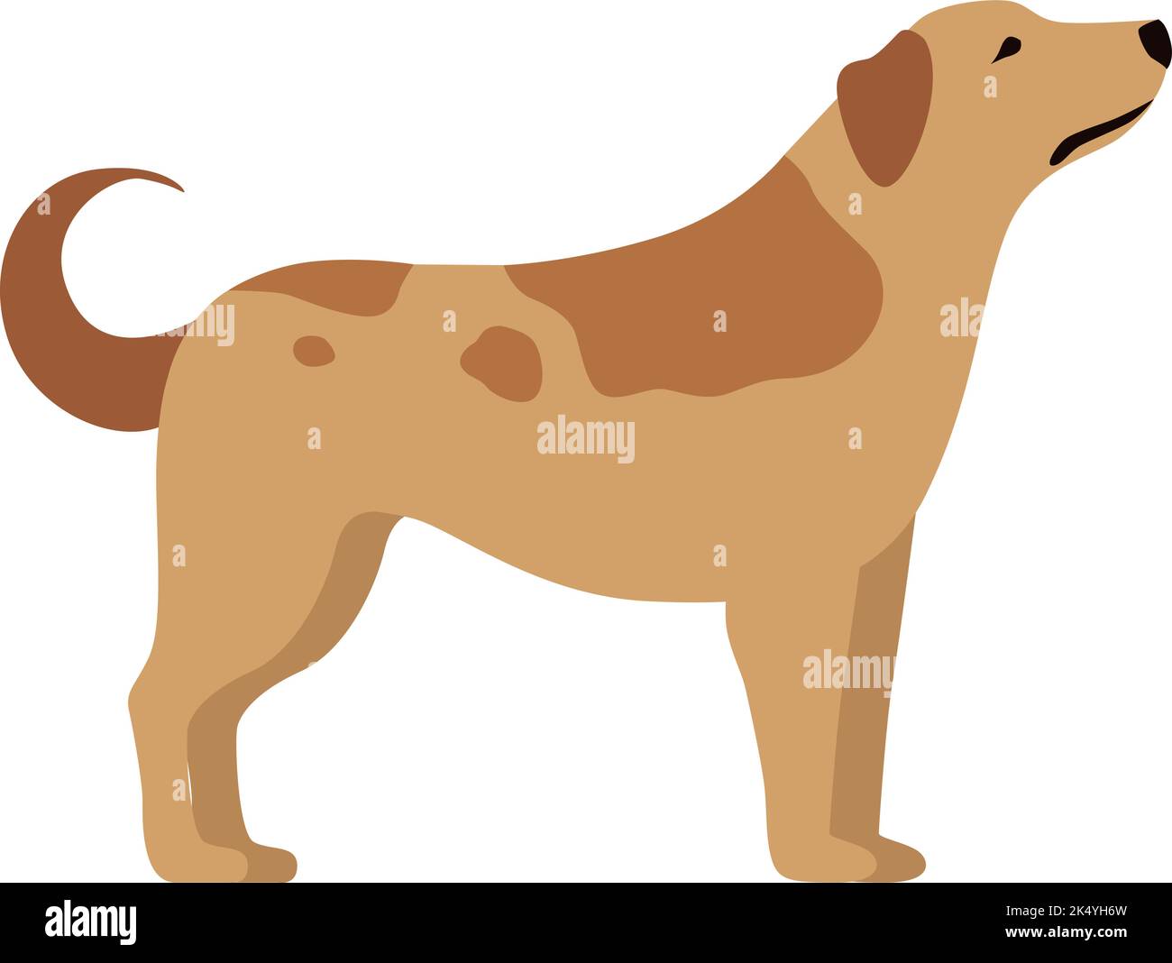 Dog standing. Cartoon pet. Domestic animal character Stock Vector Image ...