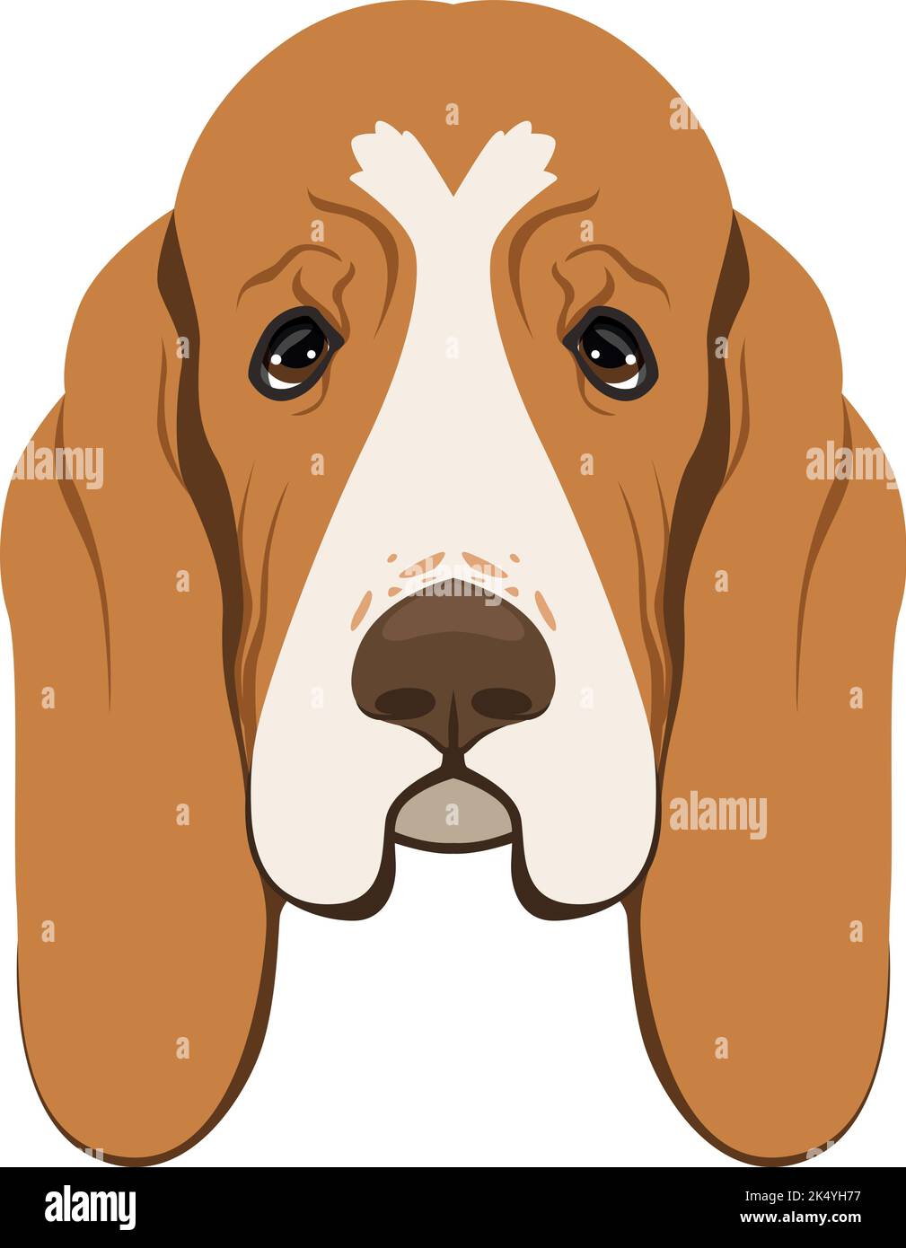 Basset hound face icon. Funny cartoon dog Stock Vector Image & Art - Alamy