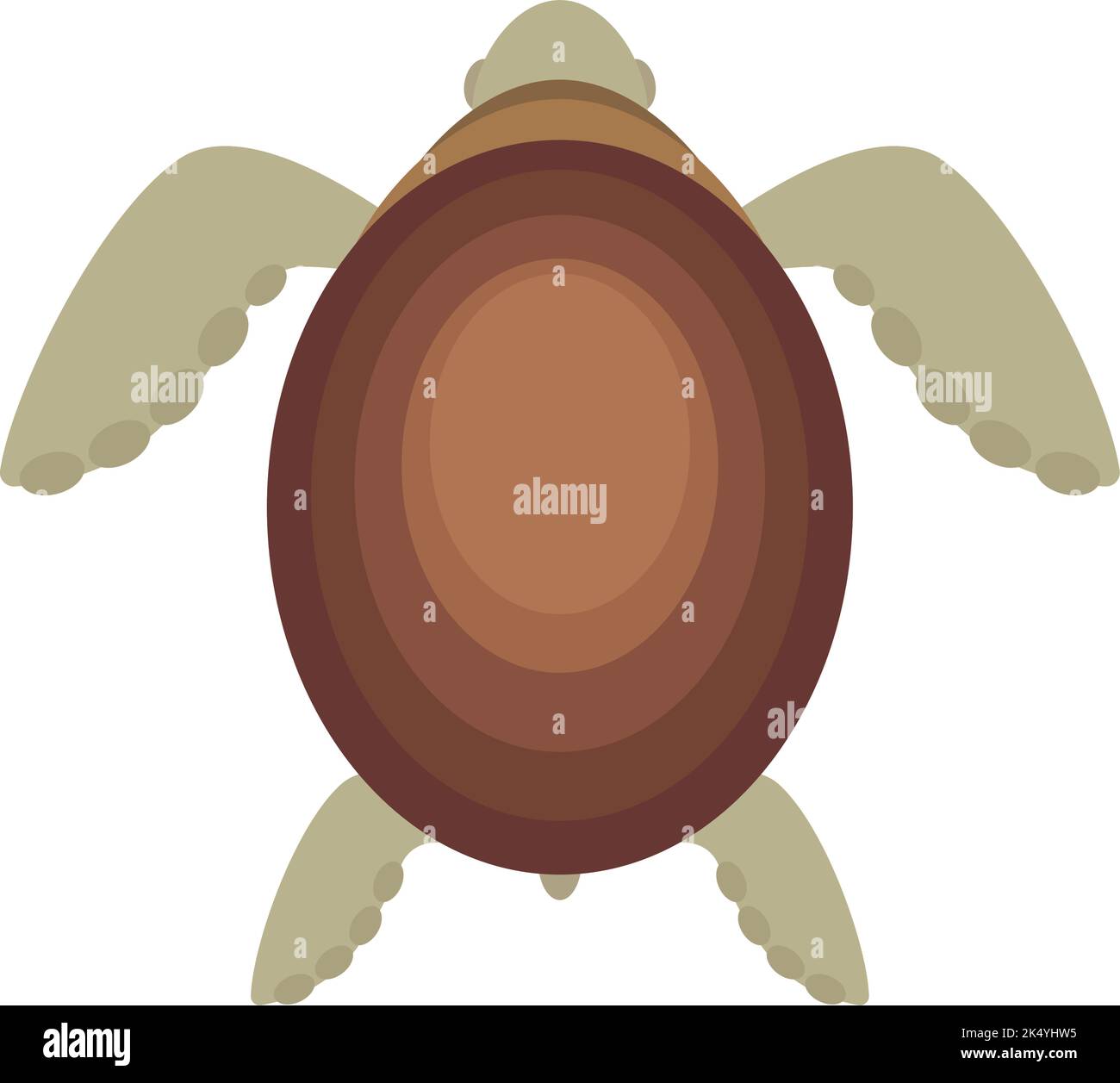 turtle paper art Stock Vector Image & Art - Alamy