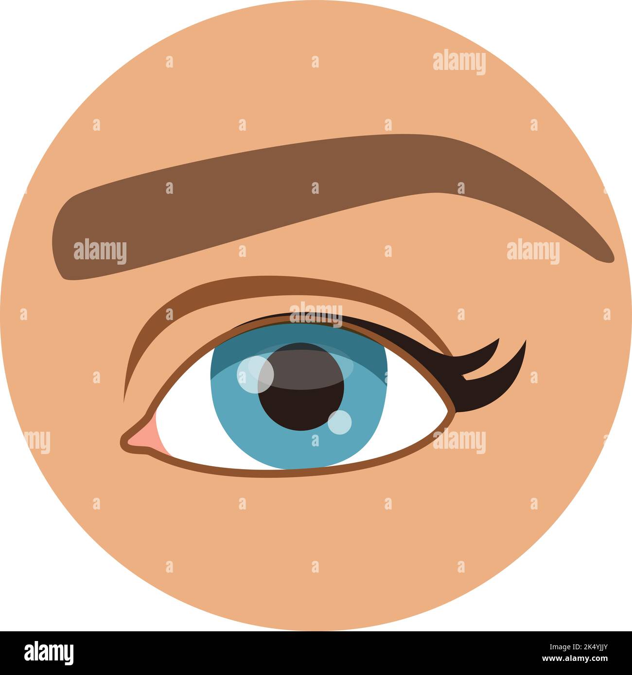 Female eye. Human vision round icon. Anatomy symbol Stock Vector Image ...