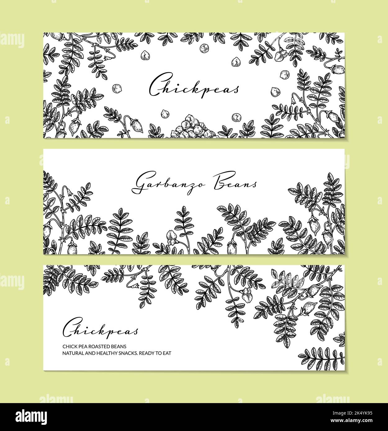 Set of hand drawn chickpeas botany backgrounds. Vector illustration in ...