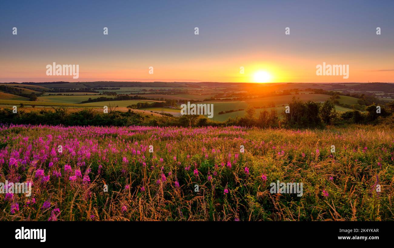 Butser Hill, UK - July 7, 2022: Mid-summer sunset over the Meon Valley ...