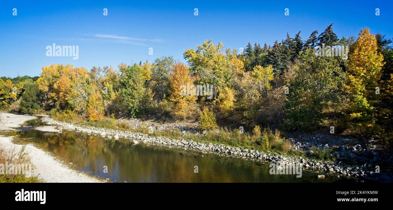Autumn Trees Calgary Zoo Alberta Stock Photo - Alamy