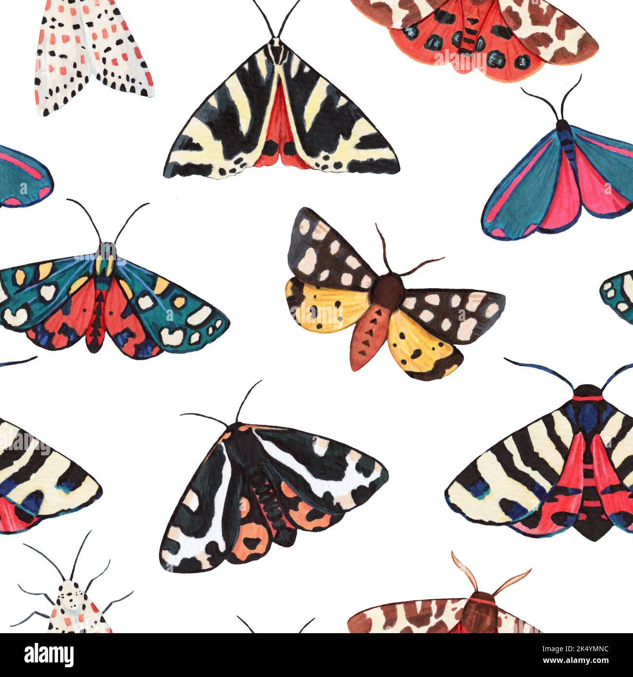 Seamless pattern with garden tiger moths, Arctiidae family. Watercolor ...