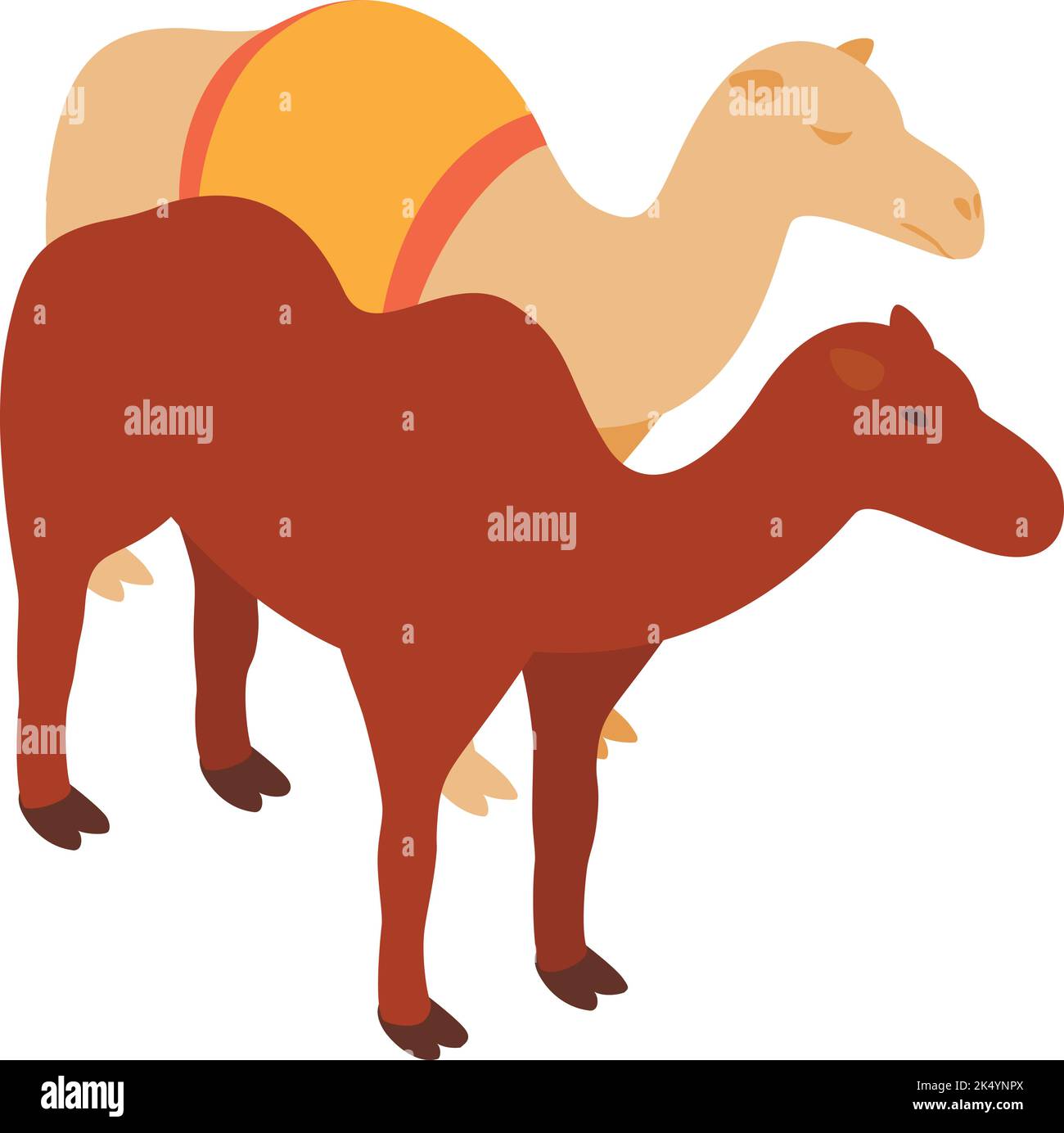 Two hump camel zoo Stock Vector Images - Alamy