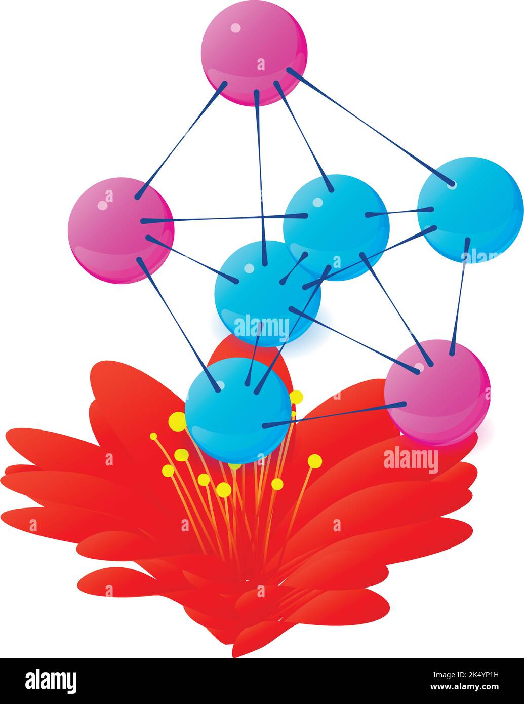 Bloomed hibiscus Stock Vector Images - Alamy