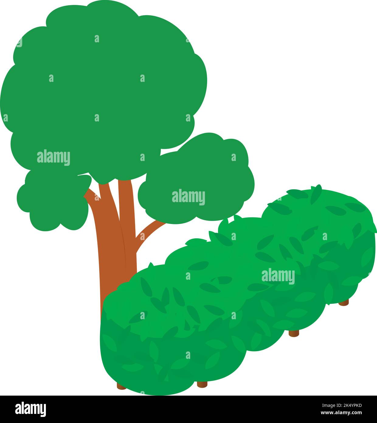 Green vegetation icon isometric vector. Deciduous green tree and hedge ...