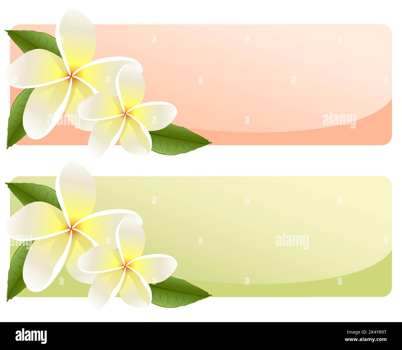 Two plumeria Stock Vector Images - Alamy