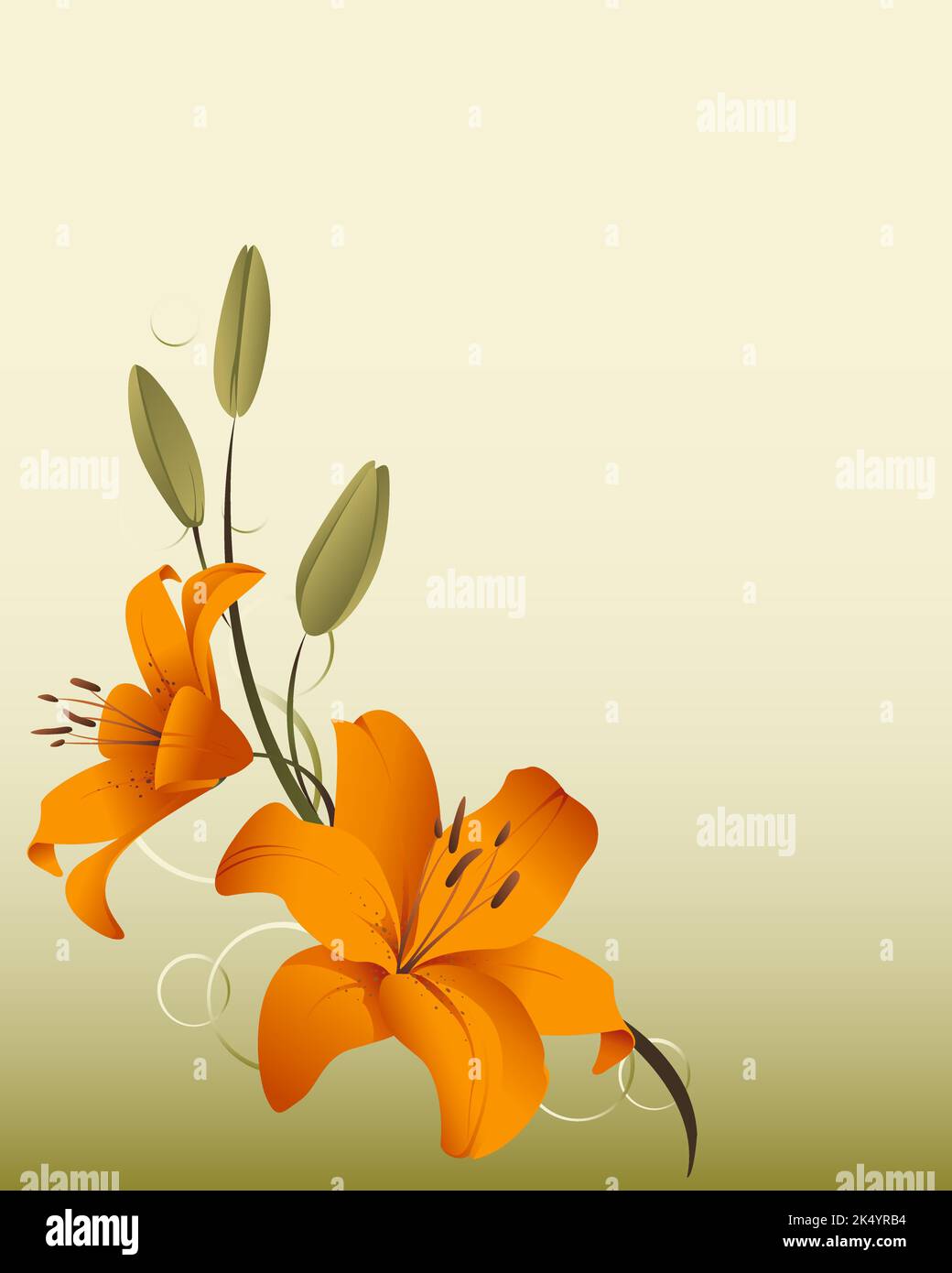 Orange buds Stock Vector Images - Alamy